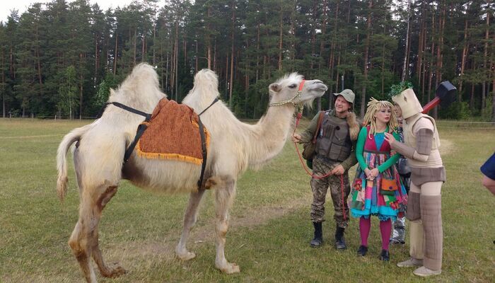 TV programma kanālam LTV1 uz 21.06.2025